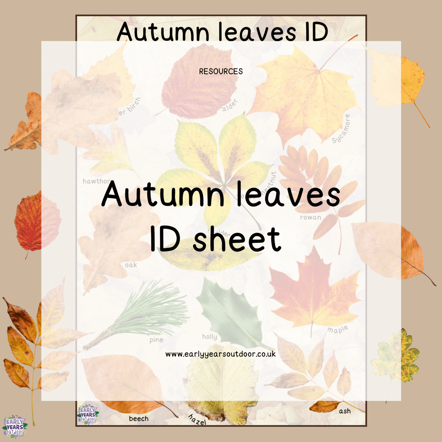 Autumn leaf ID sheet - Early Years Outdoor