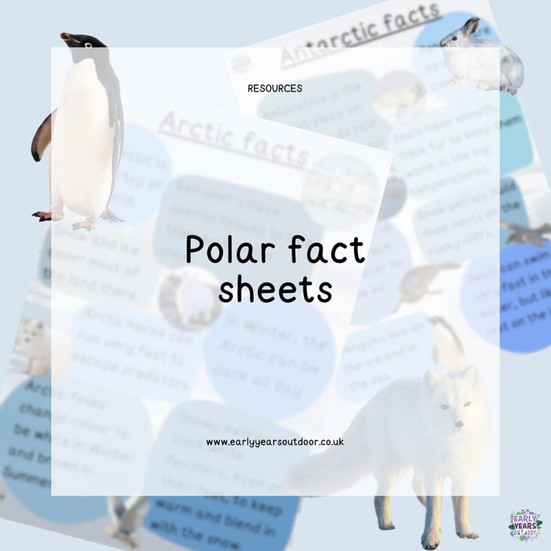 Polar animals on logs - Early Years Outdoor