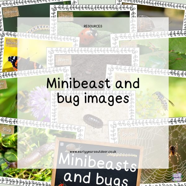 Minibeast and bug images - Early Years Outdoor